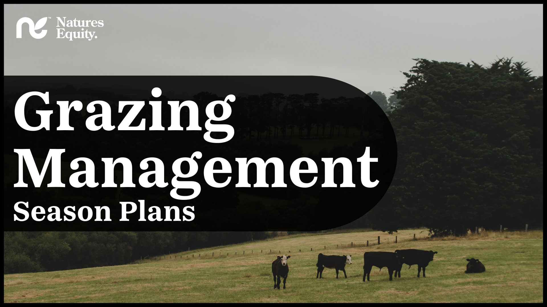 Grazing Management - Season Plans – Natures Equity