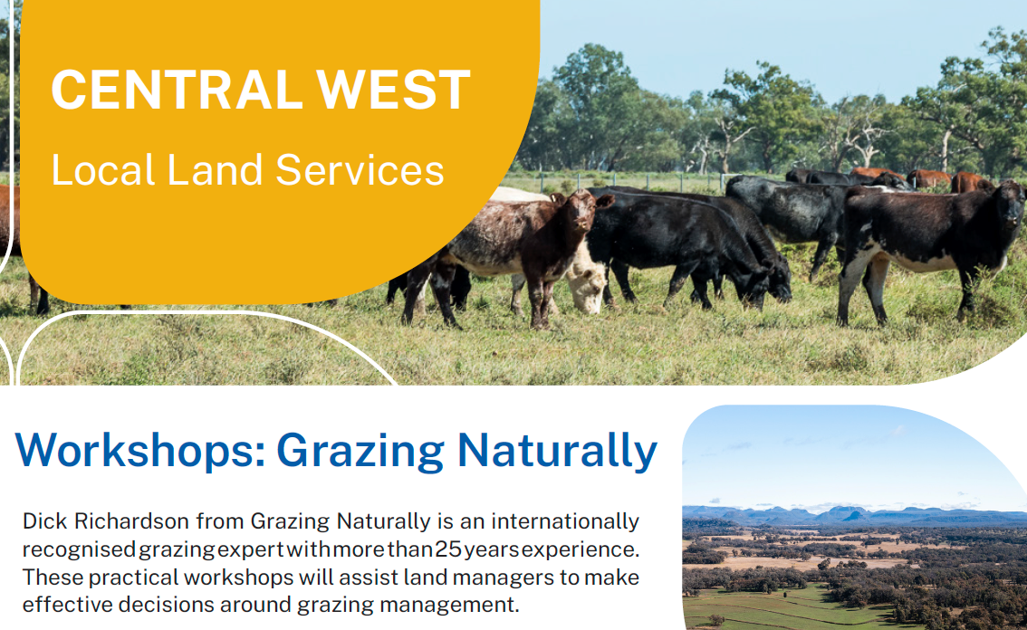 Central West NSW - Grazing Naturally Workshop – Natures Equity
