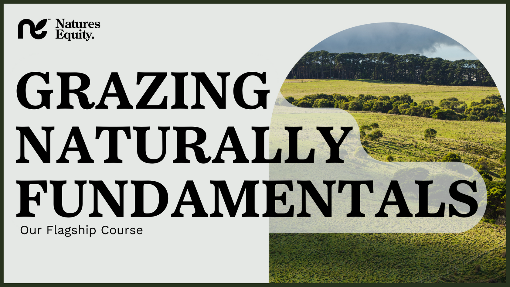 Online Content – Natures Equity